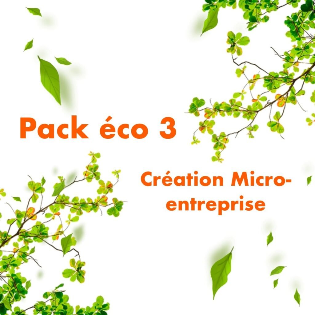 Pack éco 3 Création Micro-Entreprise