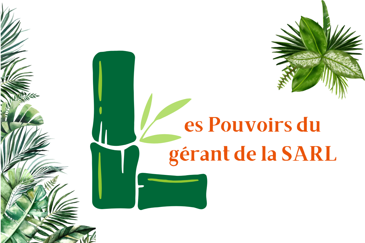 Les pouvoirs du gérant d'une SARL